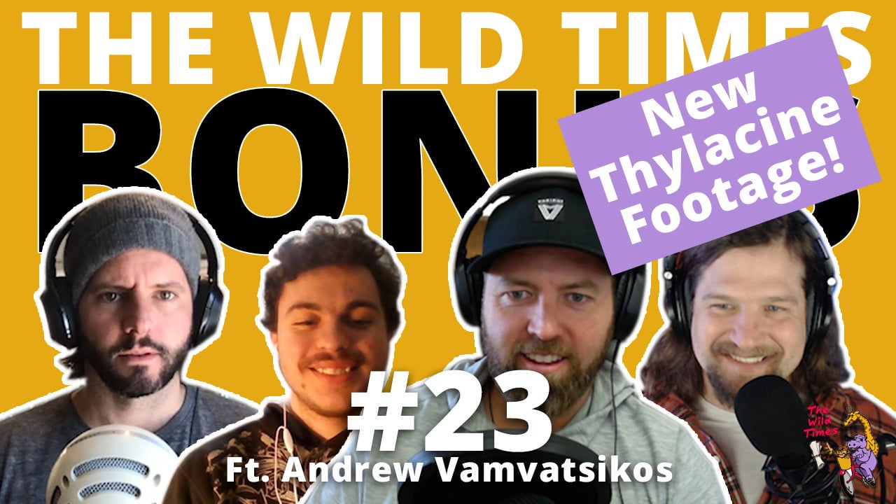 Home | The Wild Times