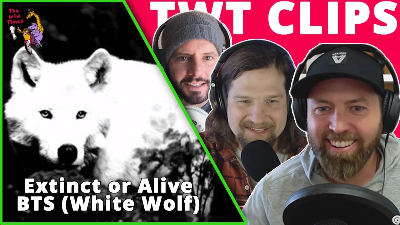 Extinct or Alive Behind The Scenes - Newfoundland Wolf | The Wild Times ...