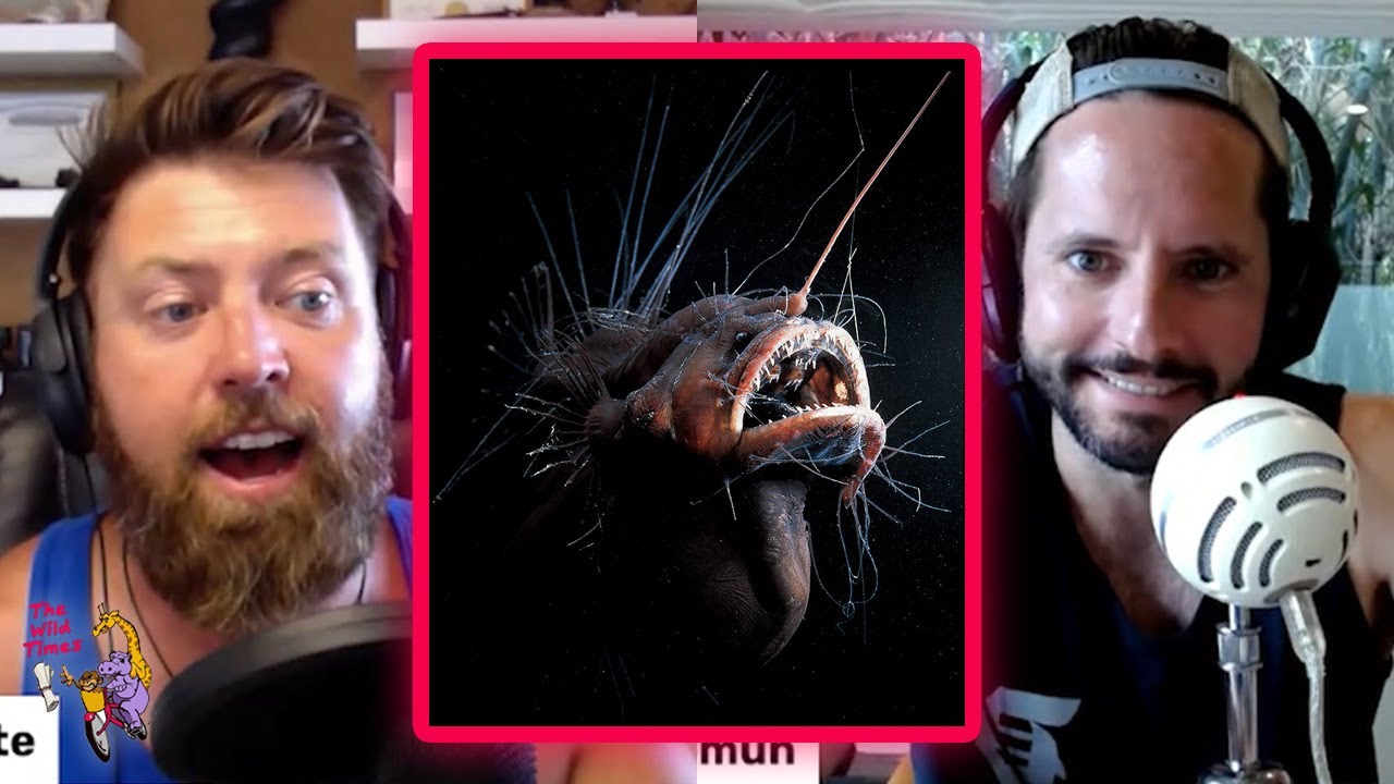 This Is The Weirdest Fish You've Ever Seen | The Wild Times Podcast