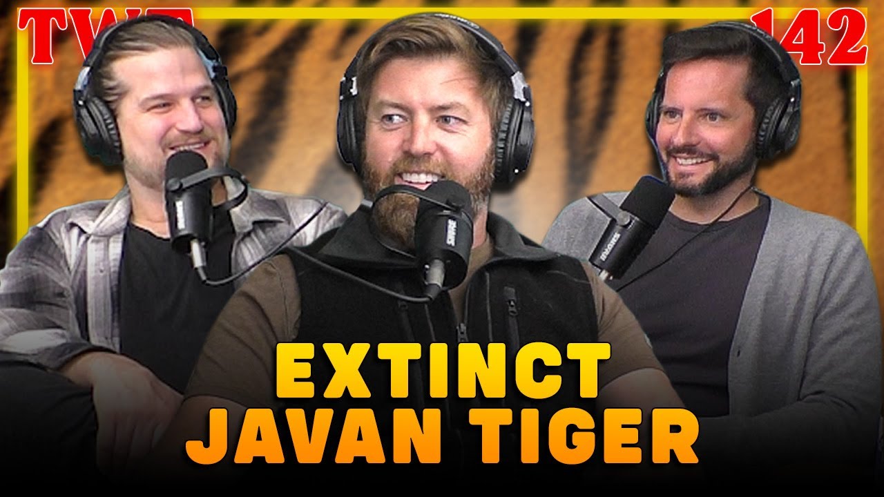 Extinct Javan Tiger Rediscovered in Indonesia - TWTtitleonly Ep. 142 ...